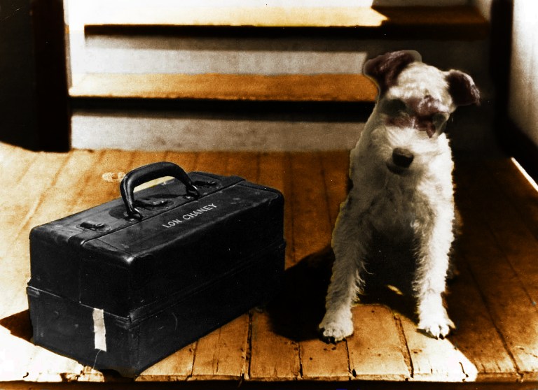 Golden Age Stars and Their Dogs | OLD HOLLYWOOD IN COLOR